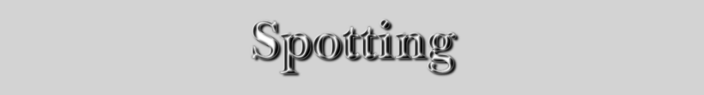 Spotting | Eighteenth-Century Ballet